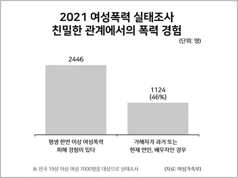 2021 여성폭력 실태조사 친밀한 관계에서의 폭력 경험 사회 일반 통계