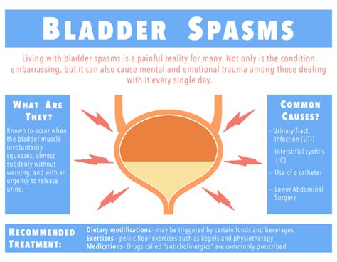Catheter Bladder Spasms Medication At Carl Buteau Blog