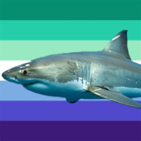 Great White Shark With Vibrant Stripes