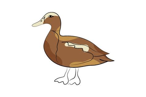 Boho Duck Svg Cut File By Creative Fabrica Crafts · Creative Fabrica