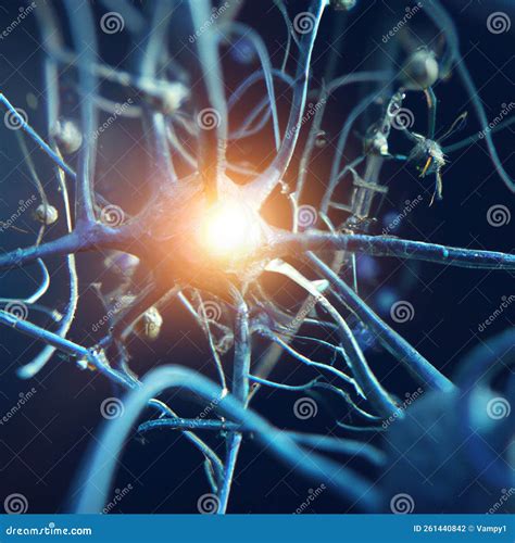 Microscopic View Of Neurons Brain Connections Synapses Stock Illustration Illustration Of