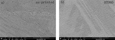 Sem Image Showing The Laves Phase Precipitation And Dendritic Download Scientific Diagram