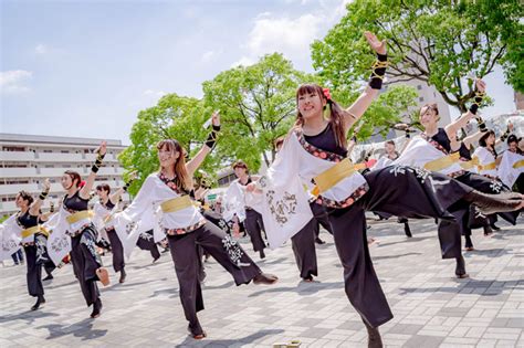 犬山踊芸祭2018 高知学生旅鯨人 祭りびと2
