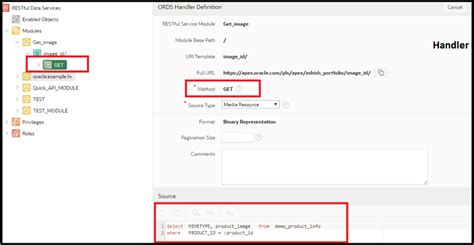 Get Images From Oracle Rest Web Service Ontoor Blogs