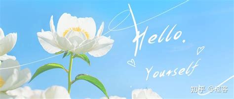 最高级的生活方式 知乎