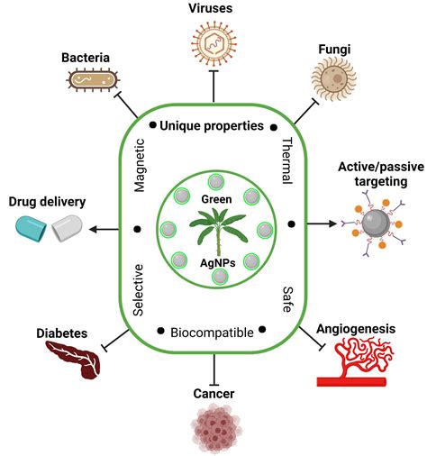 Biomedicines Free Full Text Biomedical Applications Of Plant