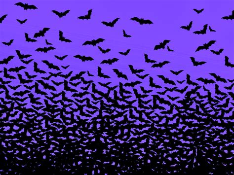 Bat Wallpapers WallpaperSafari