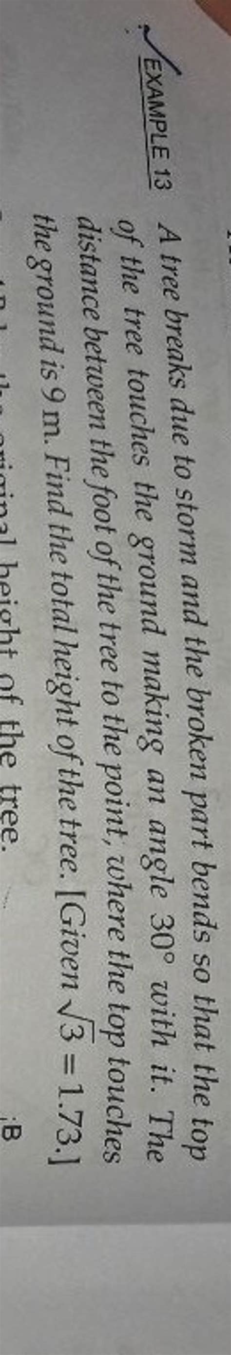 Example 13 A Tree Breaks Due To Storm And The Broken Part Bends So That T