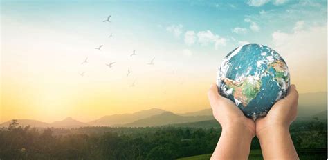 Contact Phone Email Verification Data Quality Services