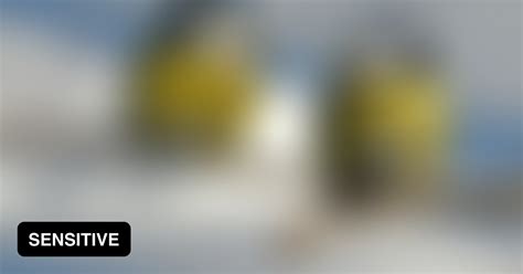 A Nice Pair Of Tits Gag