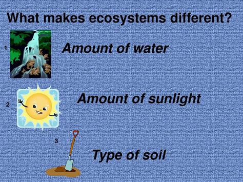 Ppt On Ecosystems PowerPoint Slides LearnPick India