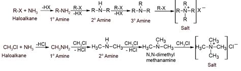 Haloalkane Neb Grade 12 Notes Organic Chemistry Sajha Notes