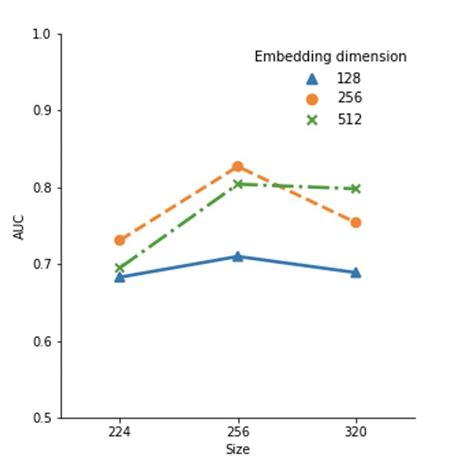 results with different image sizes and embedding dimensions download