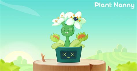 Flytrap Plants Plant Nanny Sparkful