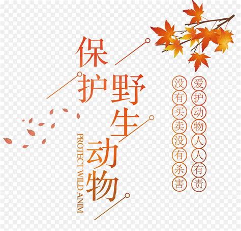 保护野生动物PNG图片素材下载 图片编号qwrvkpoy 免抠素材网
