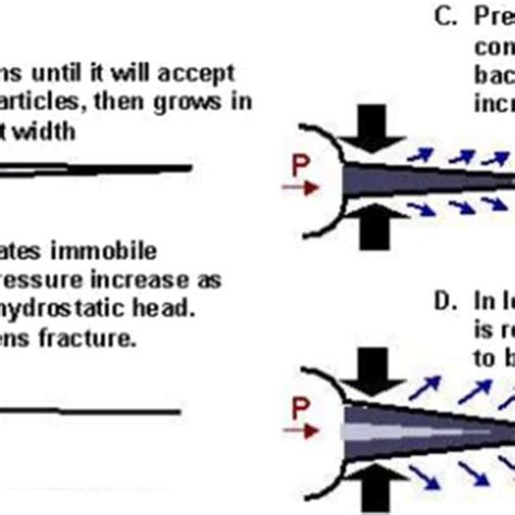 Schematic Of Fracture Closure Stress Process After Dupriest 2005