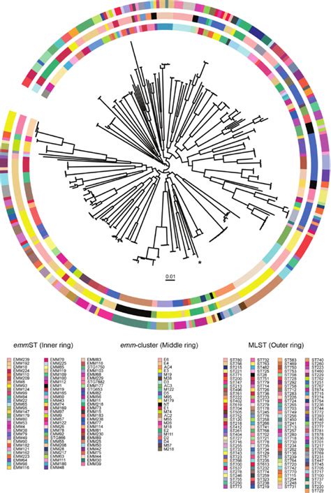 Population Structure Of 328 Streptococcus Pyogenes Strains From Download Scientific Diagram