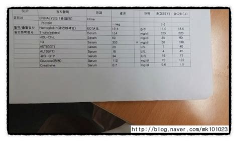 트리글리세라이드 Tg 수치가 올라갔어요 ㅠ 네이버 블로그