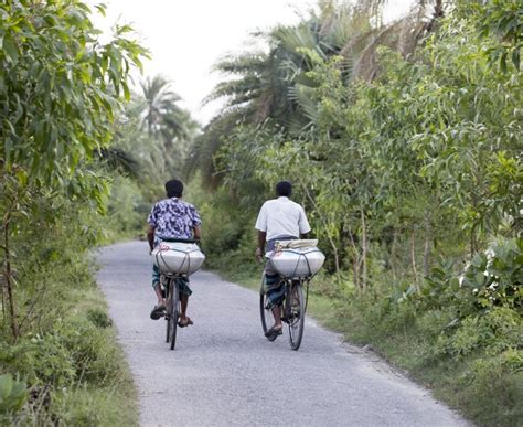 Spia Iaes Cgiar Independent Advisory And Evaluation Services