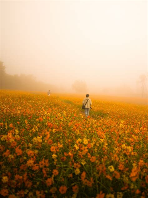 쿠마스 남도의 계절 여름 휴가로 오랜만에 고향 바다를 들렀습니다 통영의 바다는 여전히 조용하고 아름답네요 이번 휴가 다들 어디로 떠나셨나요ㅎ Dji Air3s 통영