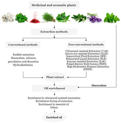 Antioxidant Compounds Extracted From Plants For Vegetable Oils
