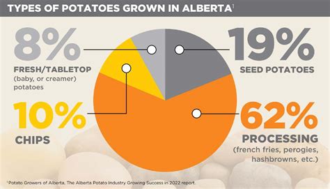 Business Is Booming For Albertas Potato Industry