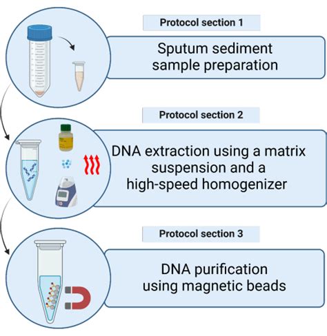 Matrix Based Dna Extraction For Targeted Next Generation Sequencing On Decontaminated Sputum Samples