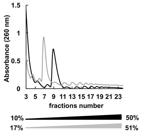 Polysome Profiling In Leishmania Human Cells And Mouse Testis Protocol