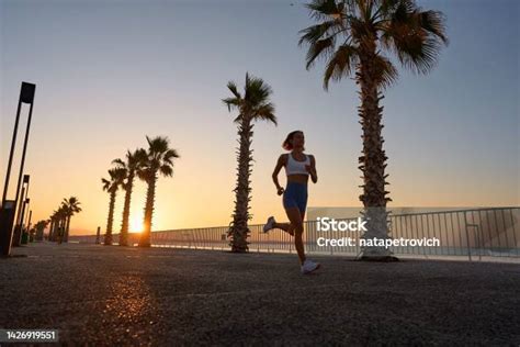 야자수와 바다를 배경으로 실루엣 일출 일몰에서 조깅을하는 여성 건강한 생활방식에 대한 스톡 사진 및 기타 이미지 건강한 생활방식 다리 신체 부분 달리기 Istock