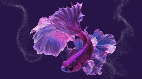 Salesforce Ben On Linkedin 5 Advanced Flow Concepts For Salesforce