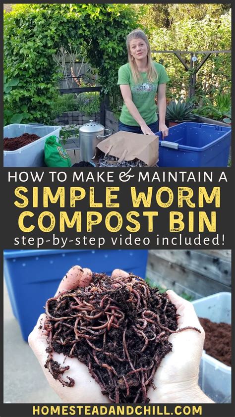 Vermicomposting 101 How To Make A Simple Worm Compost Bin Worm