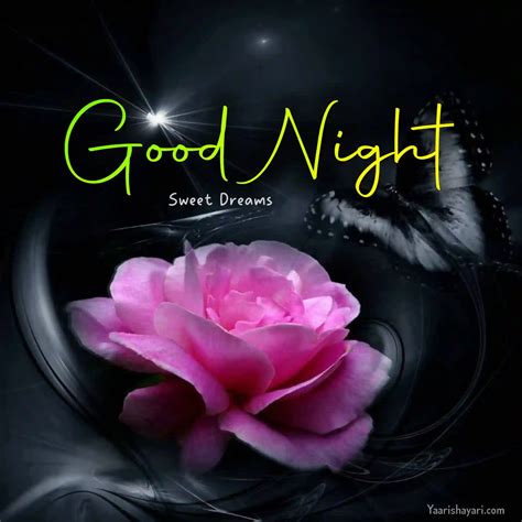 80 Beautiful Good Night Images Pictures And Hd Photos