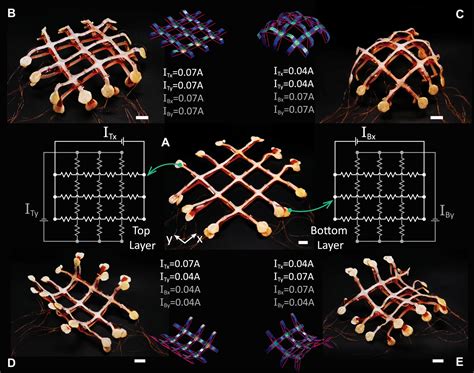 Robotic Surfaces With Reversible Spatiotemporal Control For Shape Morphing And Object