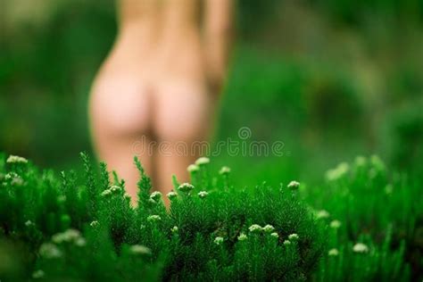 Selective Focus Nude Stock Photo Image Of Adult Elegance