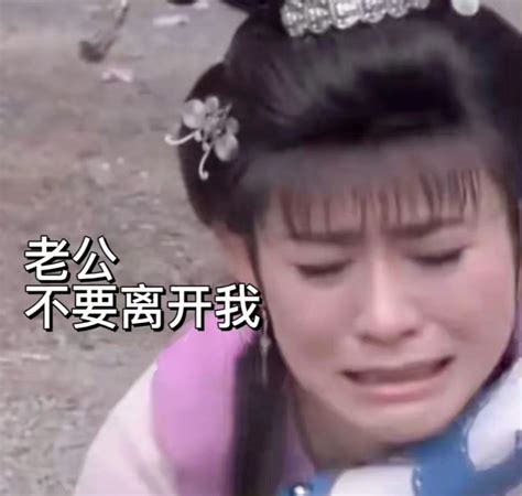 王宝钏表情包 周末一起挖野菜呀 知乎