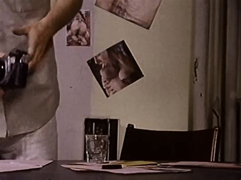 Sexy Schemer USA Suzanne Mc Bain Sharon Mitchell