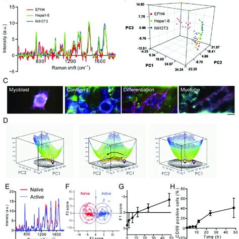 Gene Expression Prediction Using Raman Spectra A Schematic Download Scientific Diagram