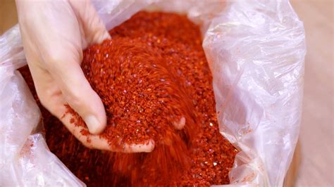 고춧가루 그냥 냉장고에 넣지 마세요 이 방법으로 1년 내내 신선하게 보관하세요