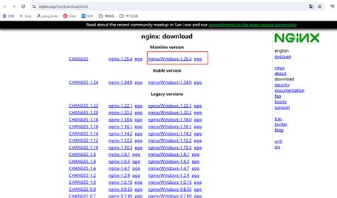 Window下运行nginx、redis、es、rabbitmq、consul Pengboke 博客园