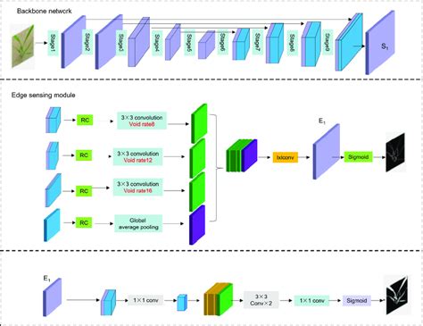 Structure Of Network Download Scientific Diagram