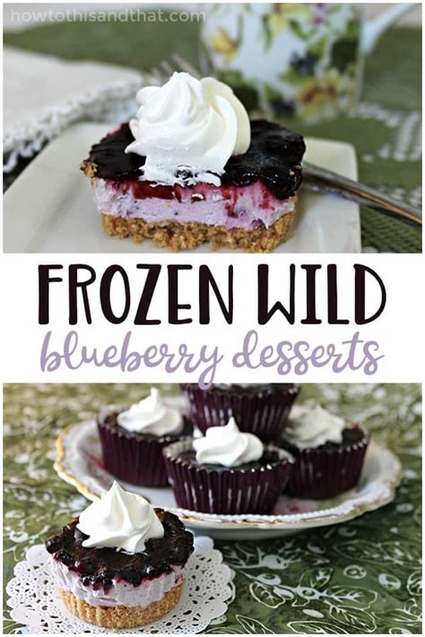 Frozen Wild Blueberry Dessert A Taste Of The Season