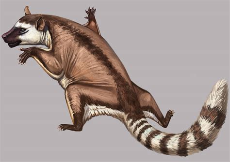 Volaticotherium Antiquus By Kookaburrasurvivor On Deviantart