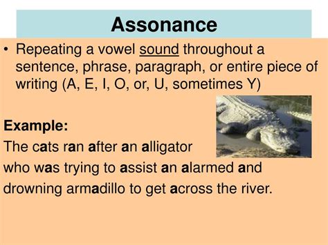 Ppt Assonance Powerpoint Presentation Free Download Id 1144068