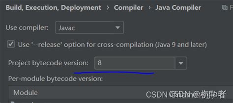 Idea中，解决java出现无效的源发行版java 无效的源发行版 21 Csdn博客