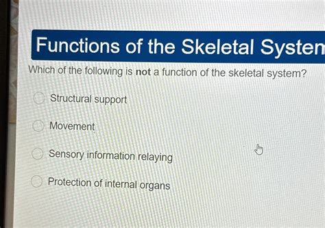 Solved Functions Of The Skeletal SystenWhich Of The Chegg