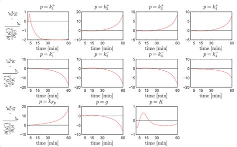 Local Sensitivity Analysis For Model Variant C Normalized Local