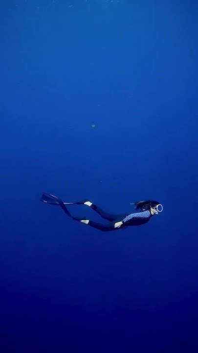 🌊 At Peace 🌊 Youtube