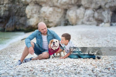 귀여운 아들 소년 십 대와 함께 해변 바다 쪽에 앉아 파란 모자에 청바지 남자를 입고 잘생긴 대담한 세련 된 및 예쁜 영어 불독 2명에 대한 스톡 사진 및 기타 이미지