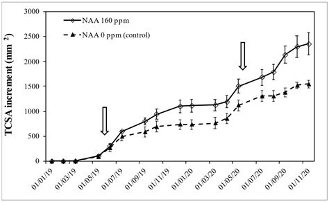 Agronomy Free Full Text Deflowering As A Tool To Accelerate Growth Of Young Trees In Both