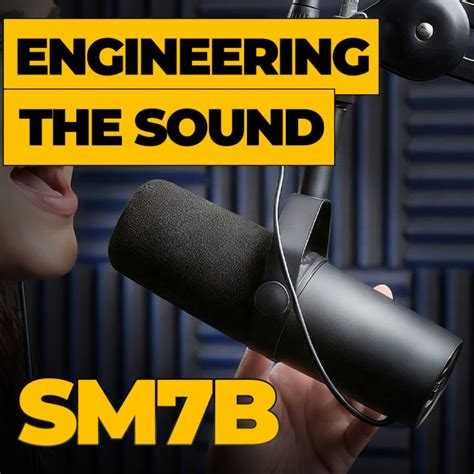 Professional Dynamic Microphone Selectable Frequency Response Mic For